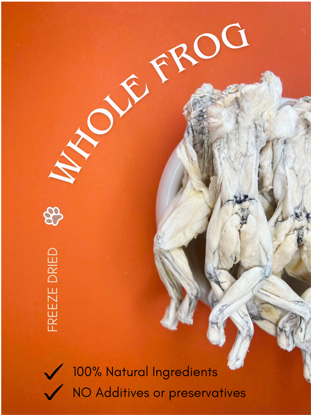 Freeze Dried Whole Frog (50g) – Vastitude